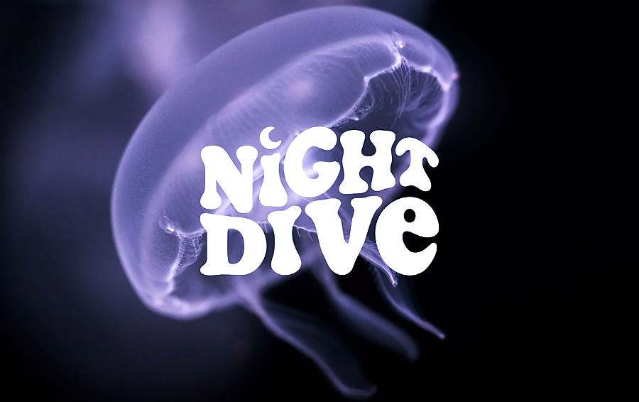Night Dive Logo