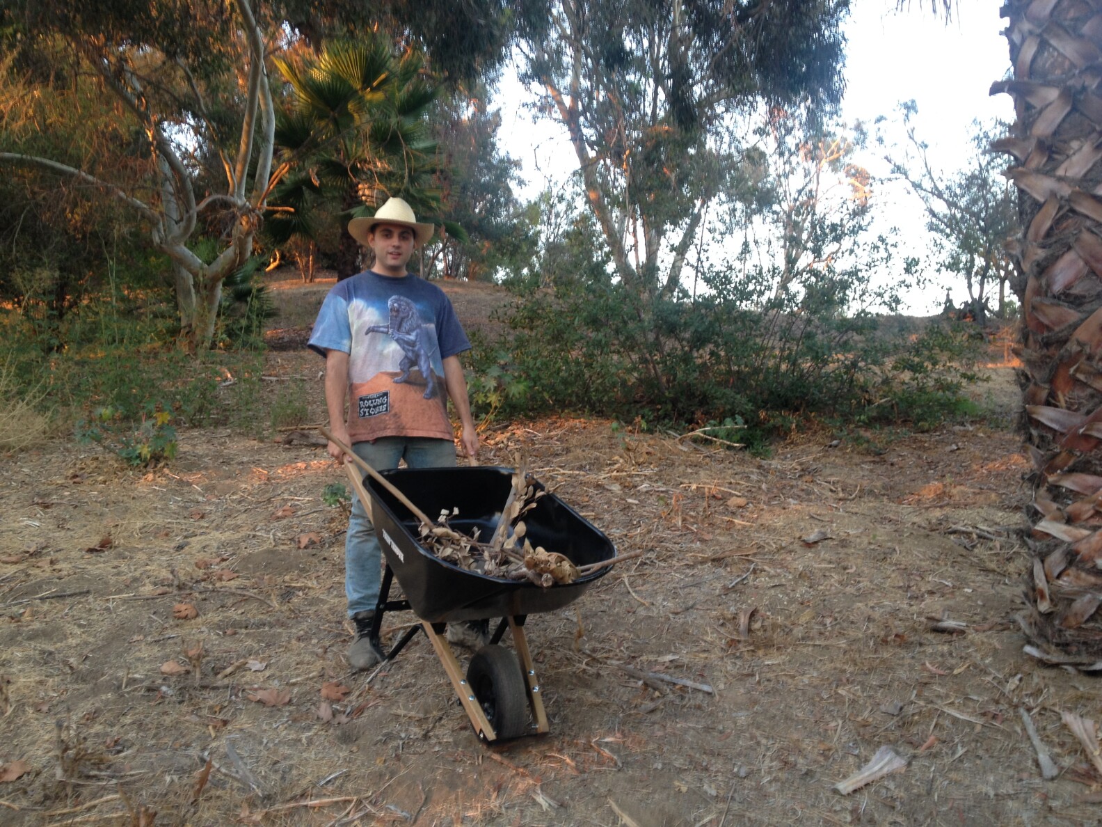 Creative Spaces: artist Ben Noam feels a sense of freedom in Elysian ...