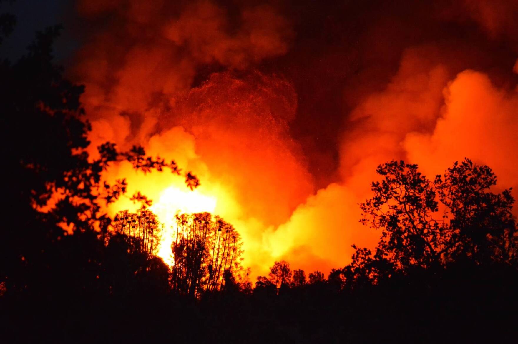 Former firefighter arrested in murder, arson charges in Clover Fire | LAist