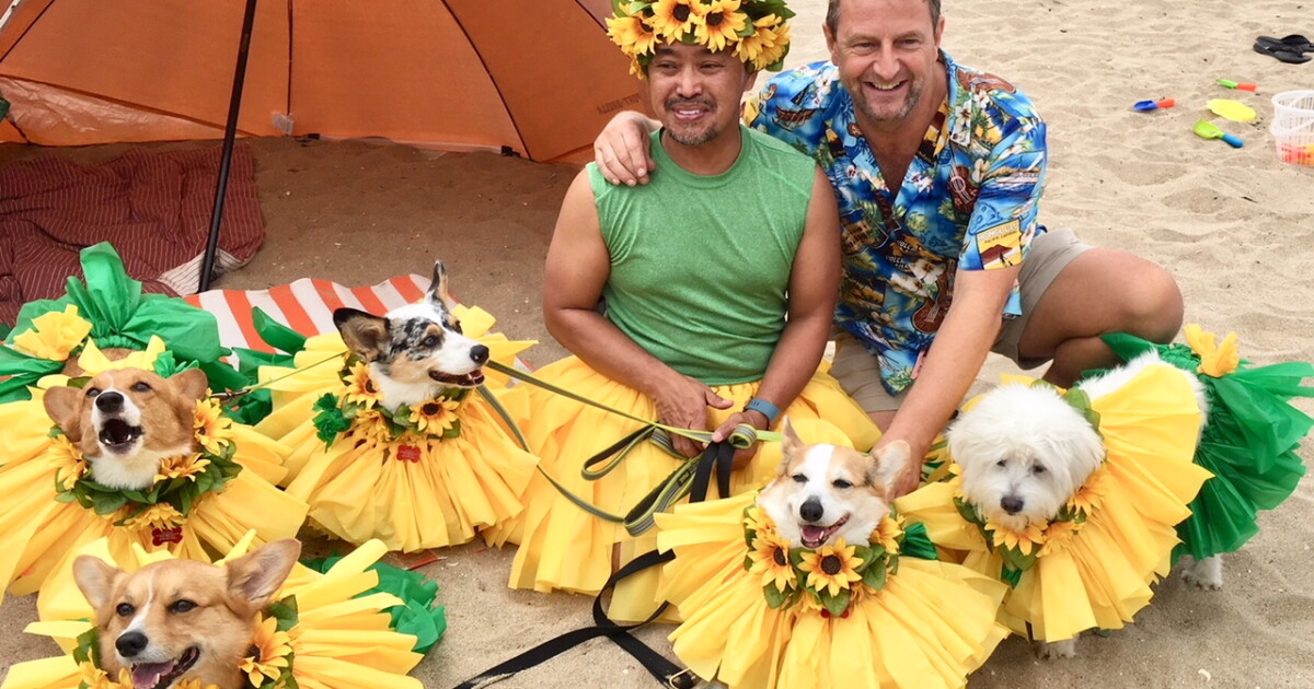 SoCal Corgi Beach Day is perfectly pawsome | LAist