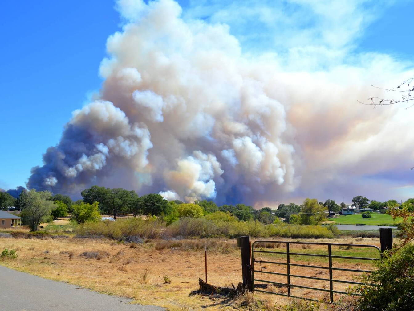 Former firefighter arrested in murder, arson charges in Clover Fire | LAist