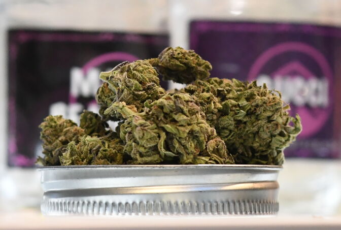 Knock, knock: pot delivery. Should cannabis be deliverable in cities ...
