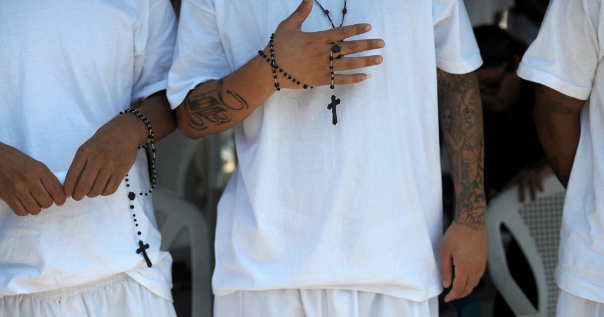 How the CalGang database can play a role in Trump's plan to deport ...