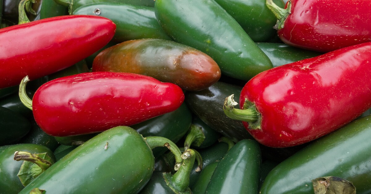 New research pinpoints geographic origin of chili pepper | LAist