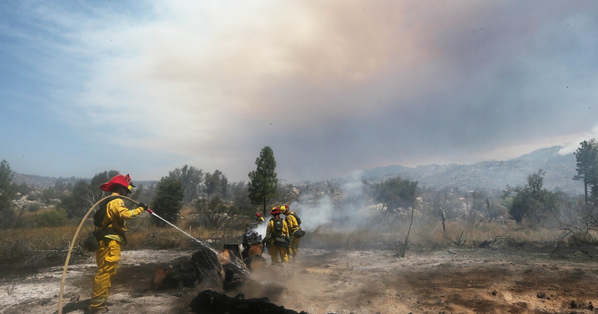 We look inside the mind of an arsonist and what have we learned from ...