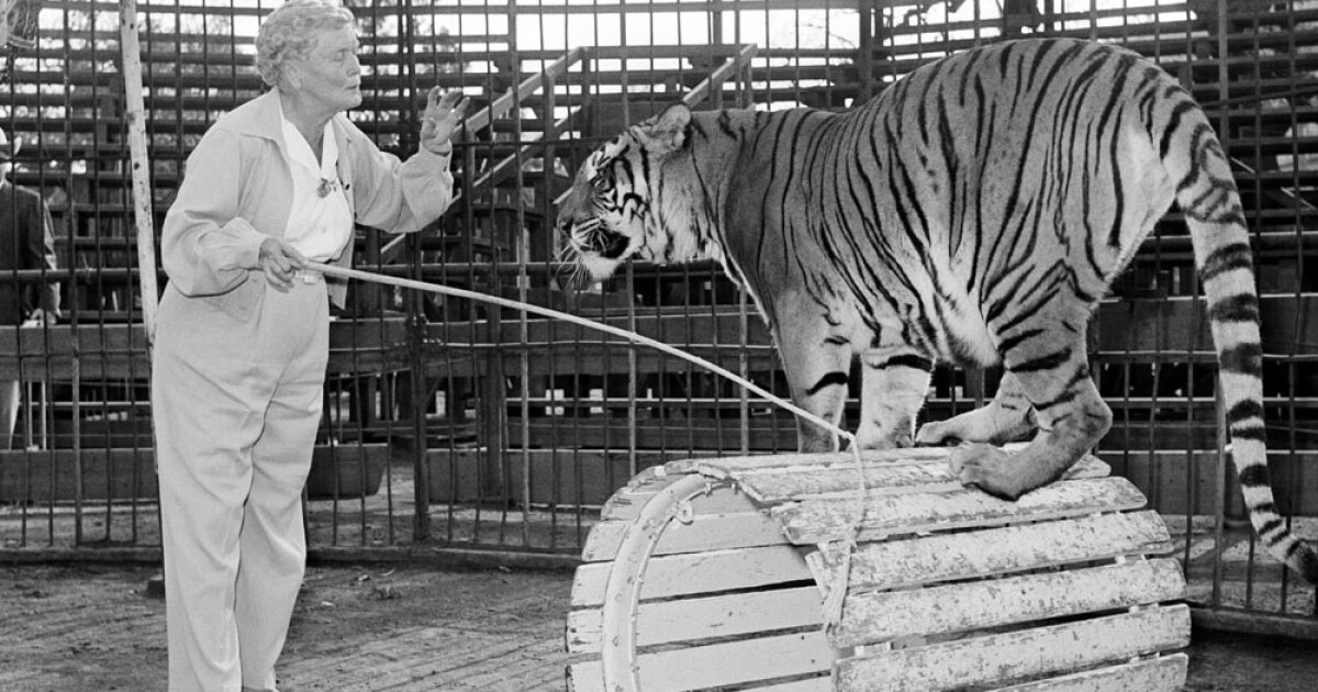 Before Disneyland, SoCal had Jungleland — home to the world's first ...