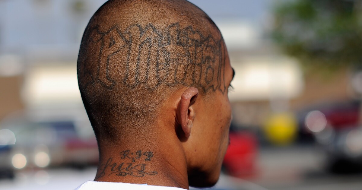 The End of Gangs: Why LA gang membership continues to wane | LAist
