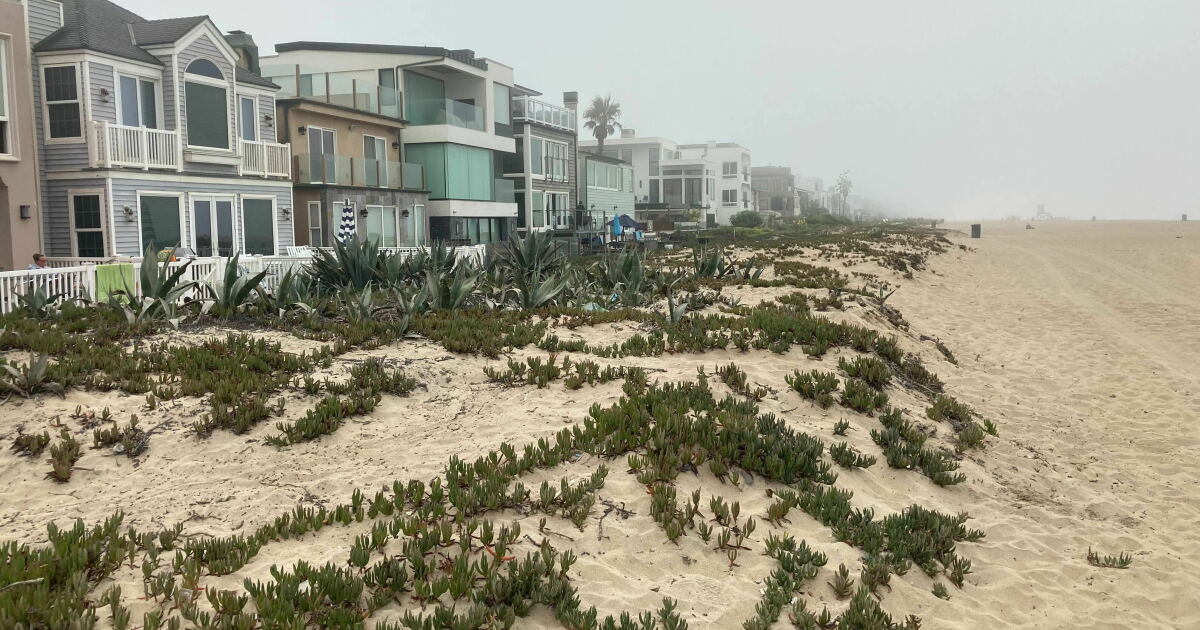 Overcast conditions for SoCal with partial sunshine later on | LAist
