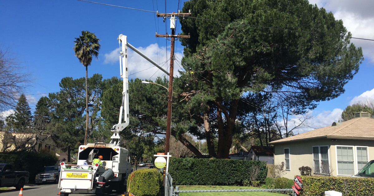 New Edison tree-trimming campaign to reduce fire risk is getting local ...