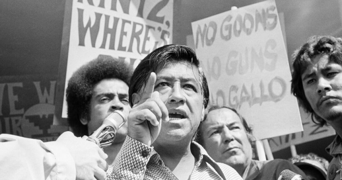 United Farm Workers celebrates 50 years of organizing | LAist