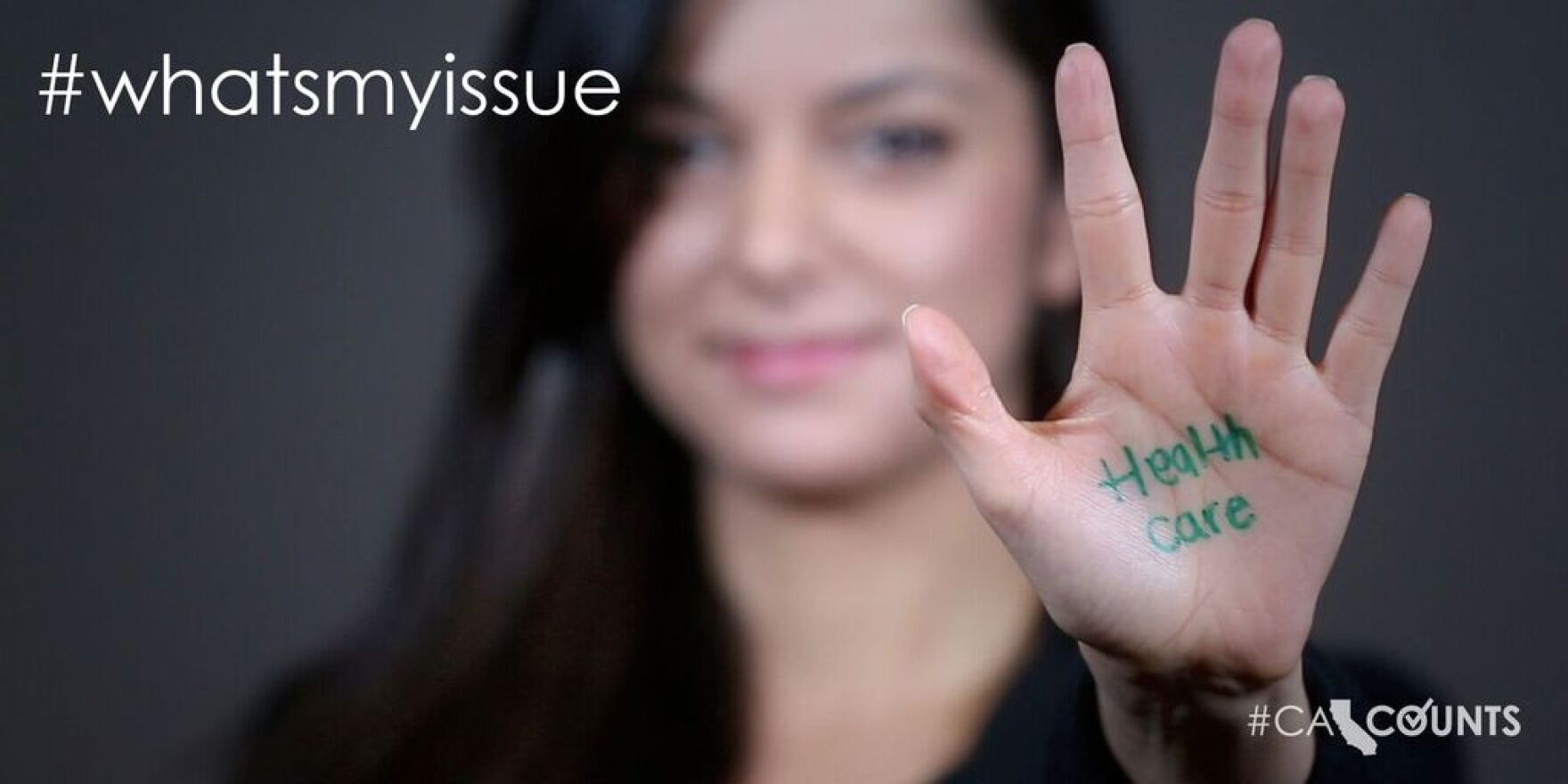 What's your issue in this election year? Economy, environment, health ...