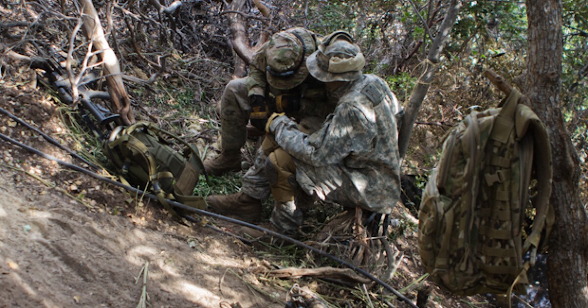 Pot raid yields 11,000 plants in Angeles National Forest | LAist