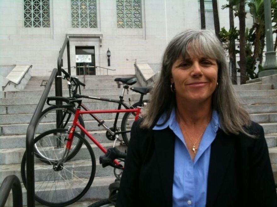 Los Angeles officials hold hearings on proposed bike plan | LAist