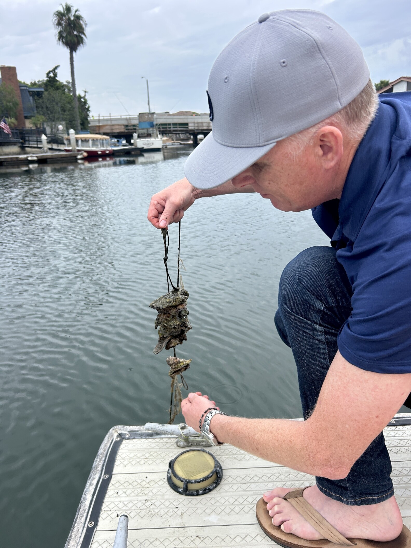 Your shucked oysters could help shore up the Orange County coast | LAist