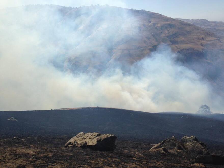 Fort Fire burning near Grapevine contained | LAist