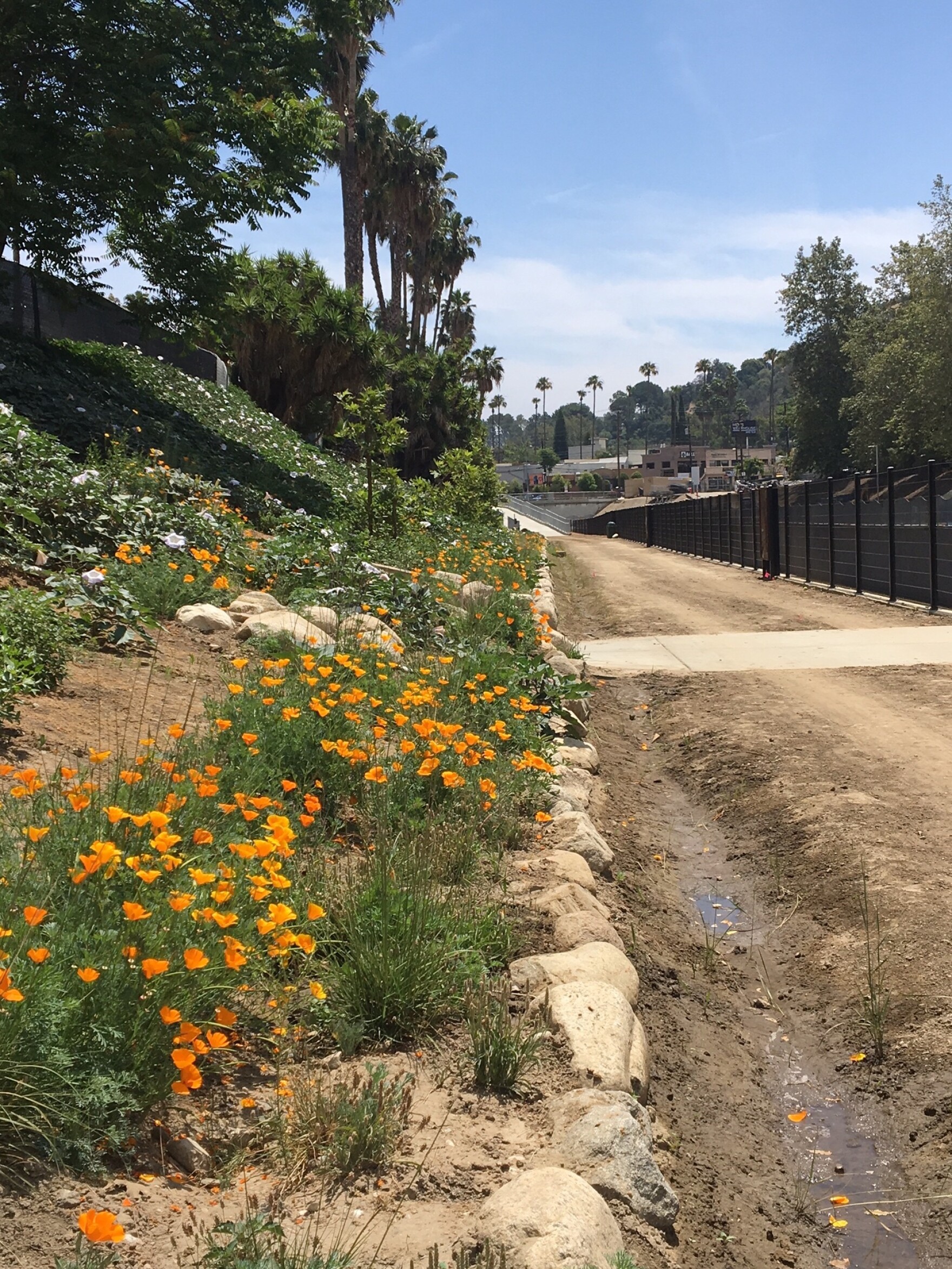 New LA River trail opens in Studio City | LAist