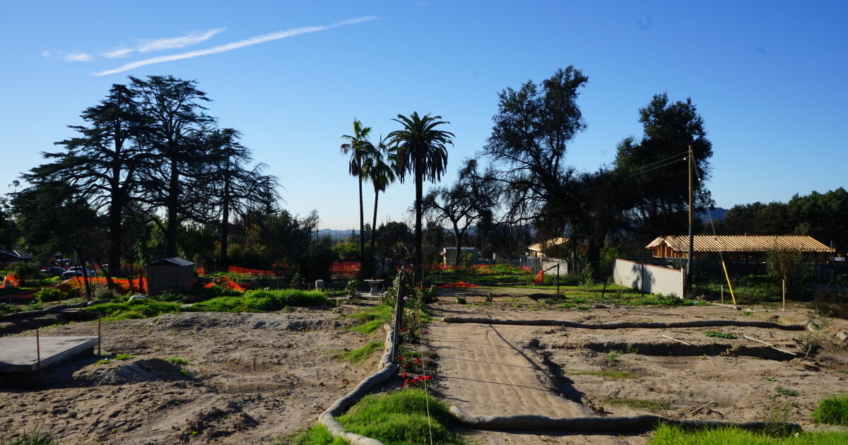 Altadena water update
