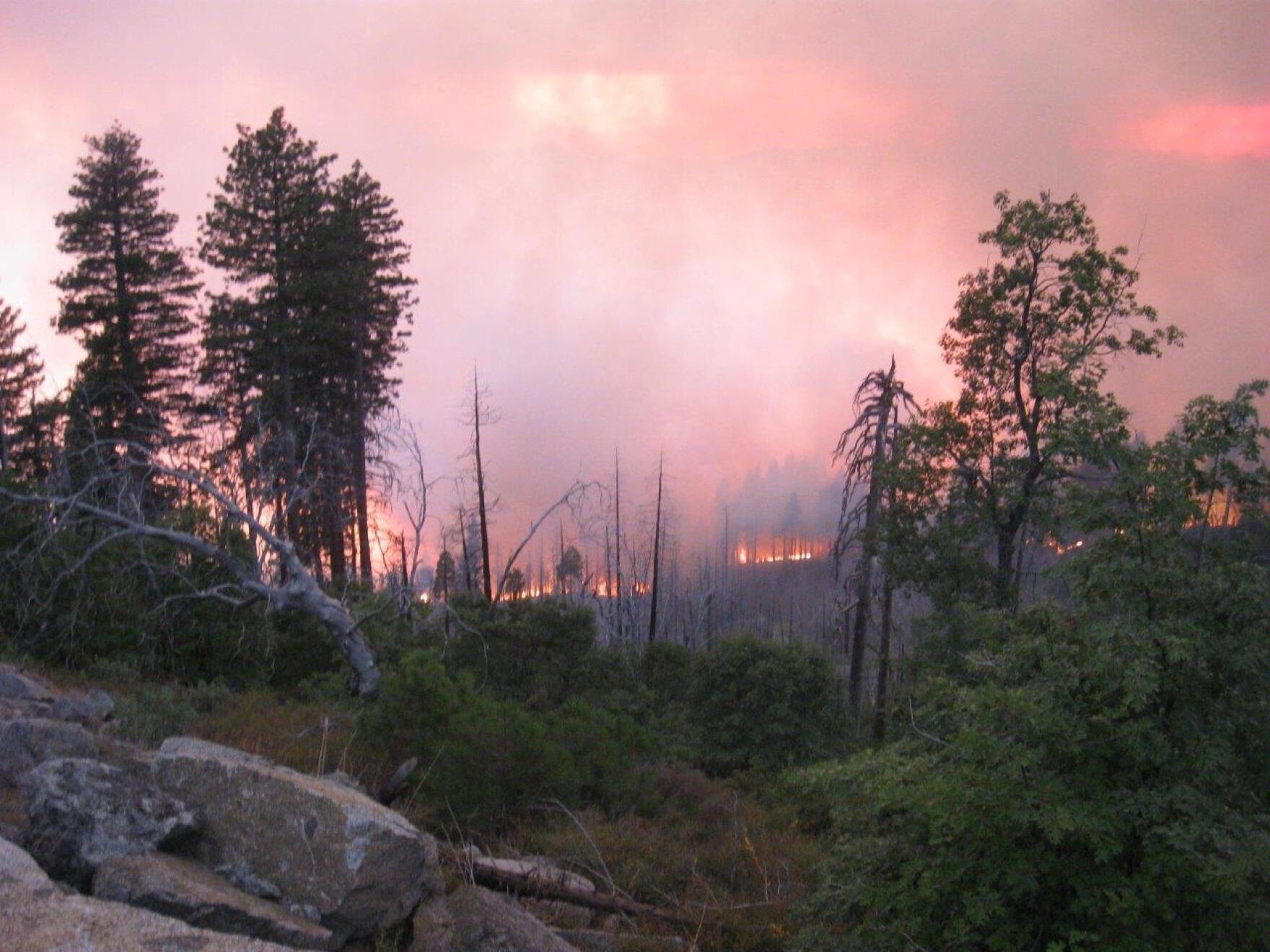 Willow Fire spreads to 1,700 acres — evacuations still in effect | LAist